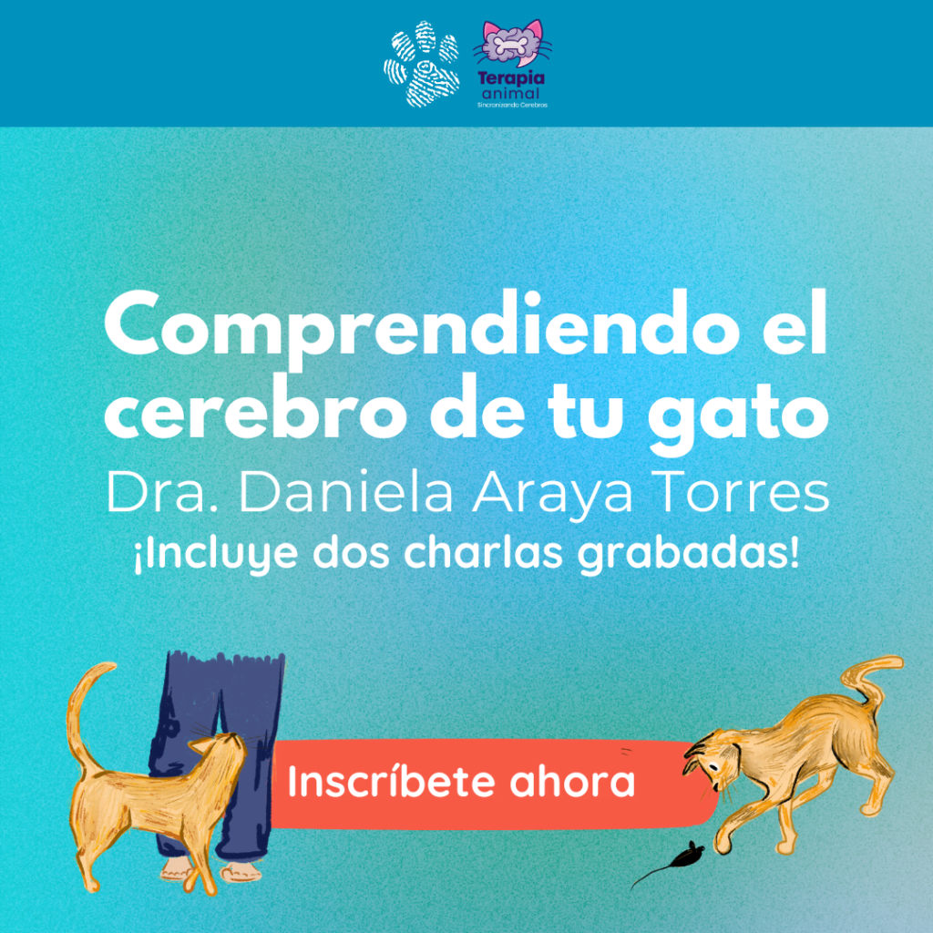 Cursos - Fundación Huella Animal